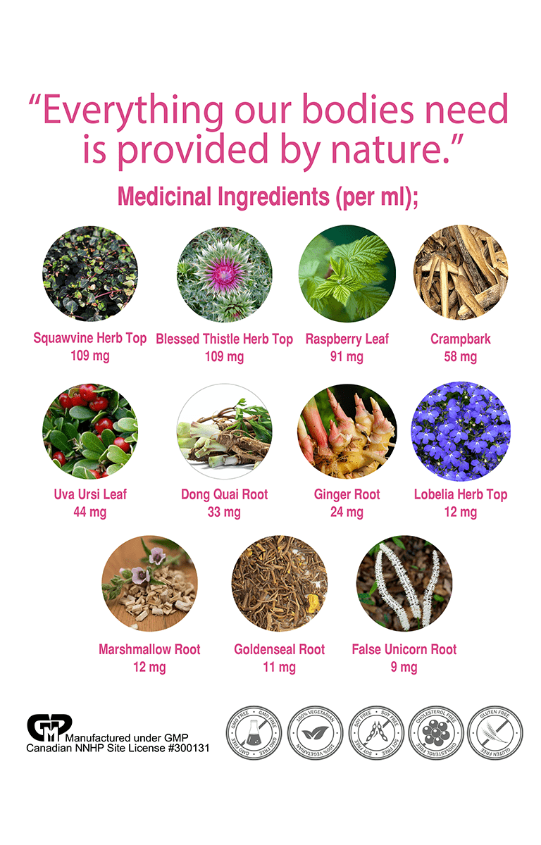 Strauss Woman's Wonder Drops 100ml Tincture – Natural Focus