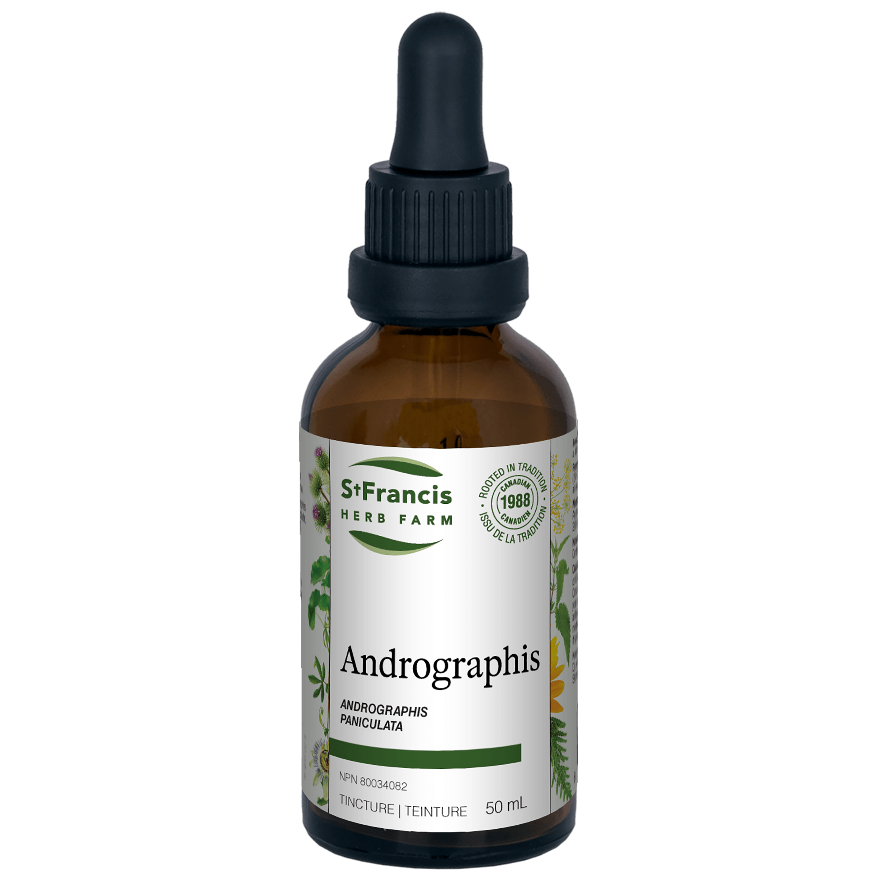 StFrancis Andrographis 50ml Liquid – Natural Focus