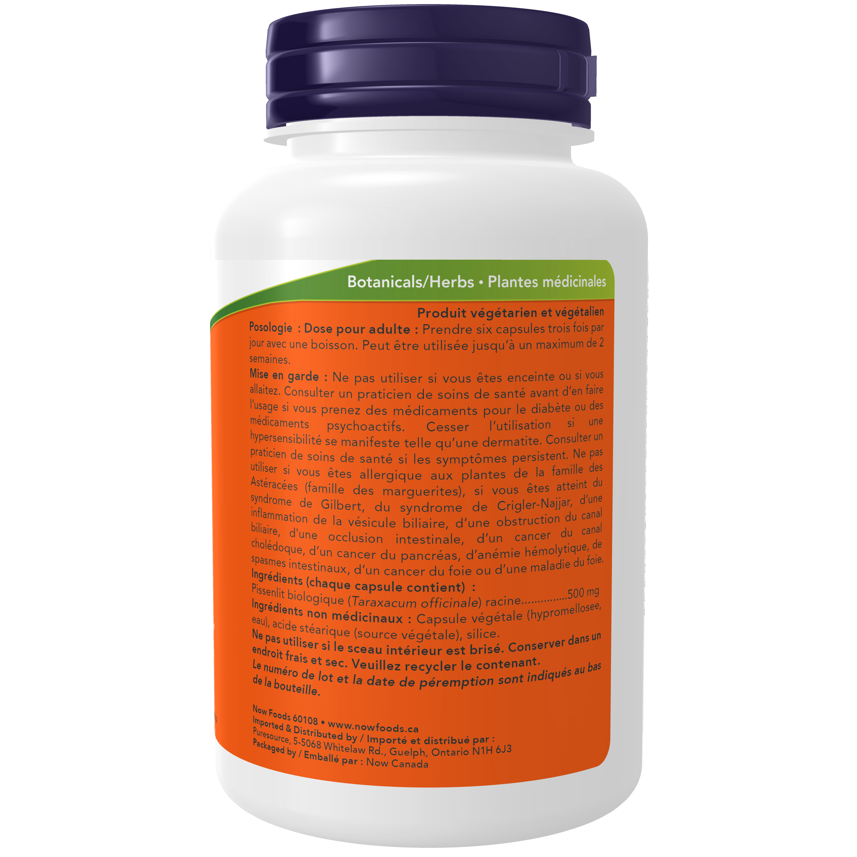Now Dandelion Root 500 mg 100 Veg Capsules – Natural Focus